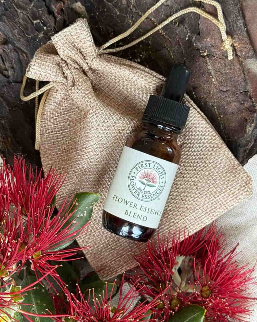 NEW! DIY Flower Essence Blend Kit – First Light Flower Essences of New ...