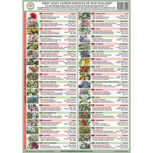 Practitioners and Students – First Light Flower Essences of New Zealand