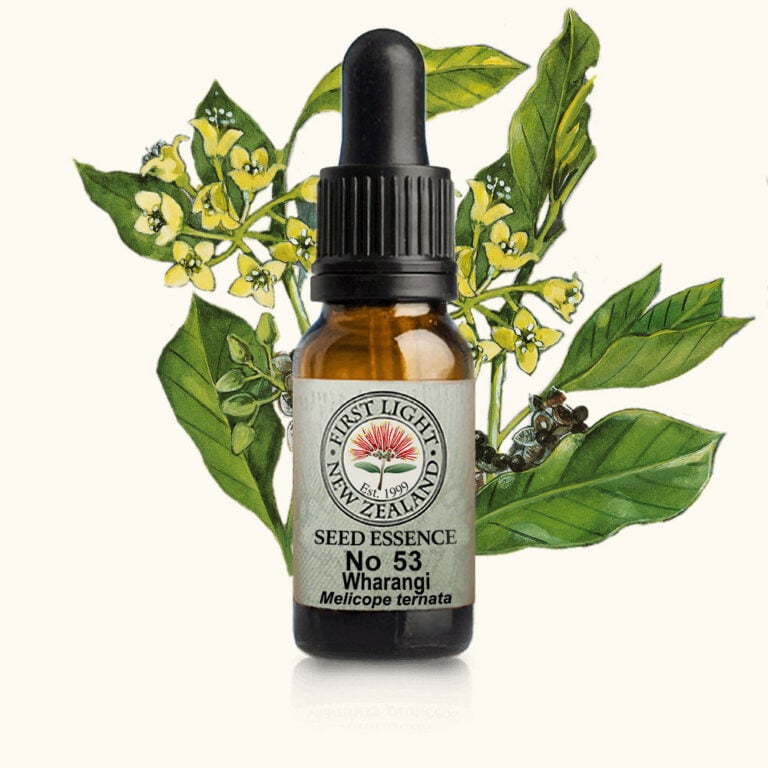 No 53 Wharangi Essence