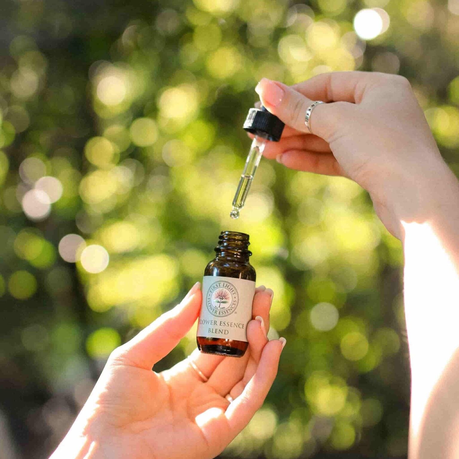Starter Flower Essence Kit – First Light Flower Essences of New Zealand