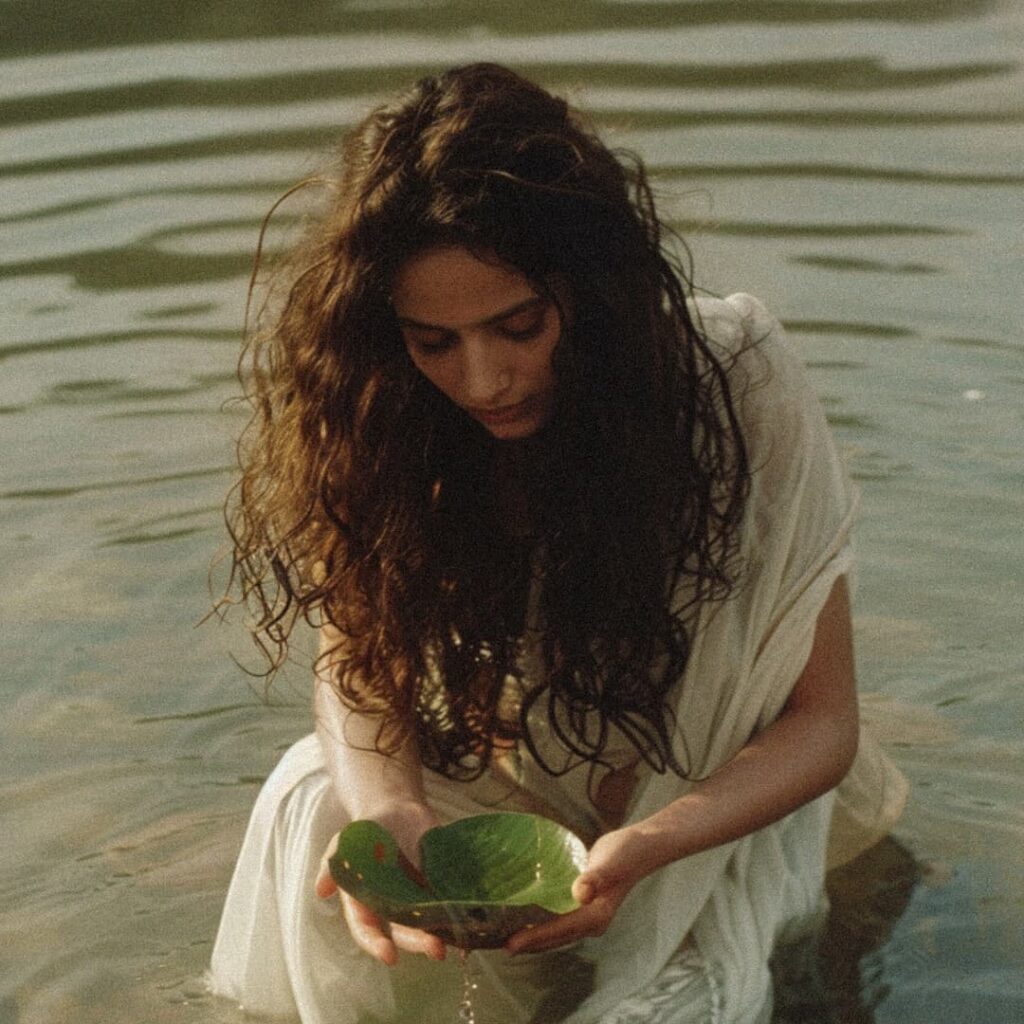 First Light® 2025 Flower Essence Blend – First Light Flower Essences of New Zealand